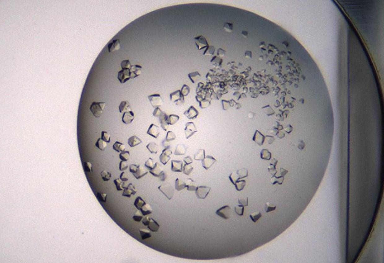 Growing Large Protein Crystals: A New Method for Neutron Diffraction