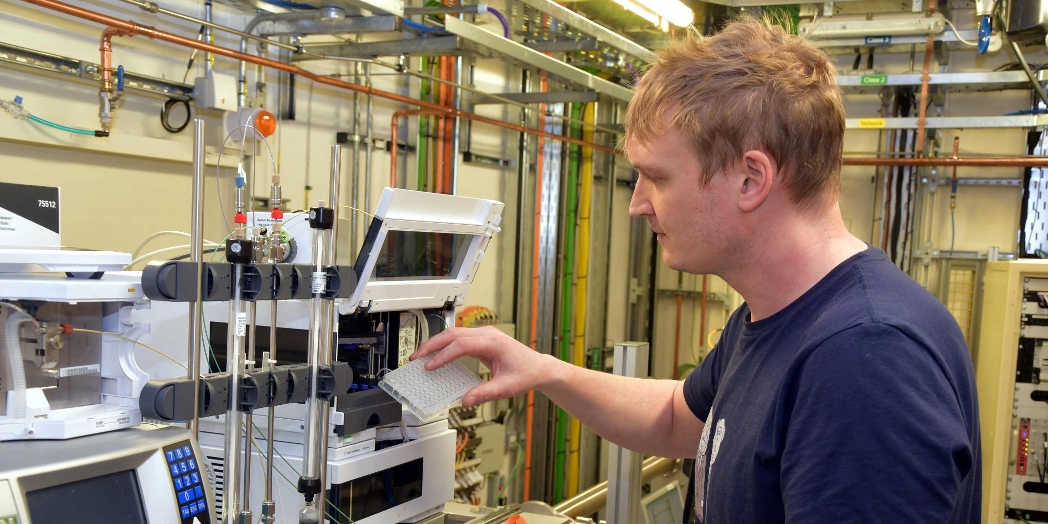 Understanding SAXS: Structural Insights for Industrial Materials