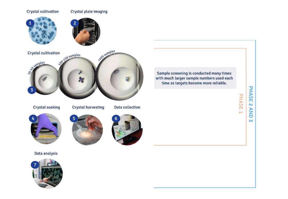 About Fragment Screening | Drug Discovery at Diamond Light Source