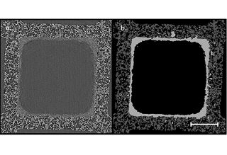 In Situ Imaging of Automotive Emission Filters | Diamond Light Source