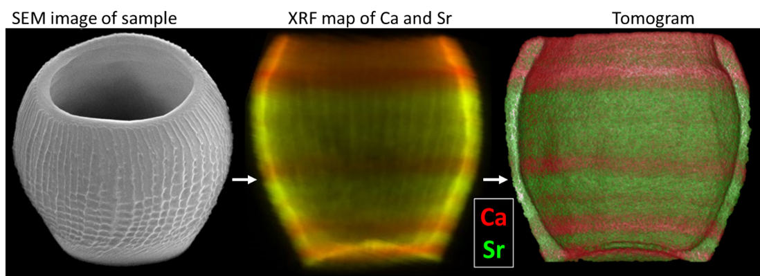 Tomography - - Diamond Light Source