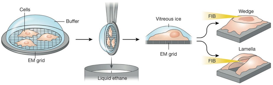 Update - - Diamond Light Source