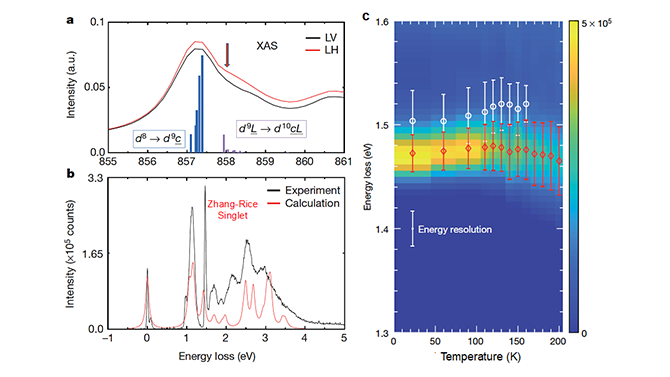An exciting discovery - a new kind of exciton - - Diamond Light Source
