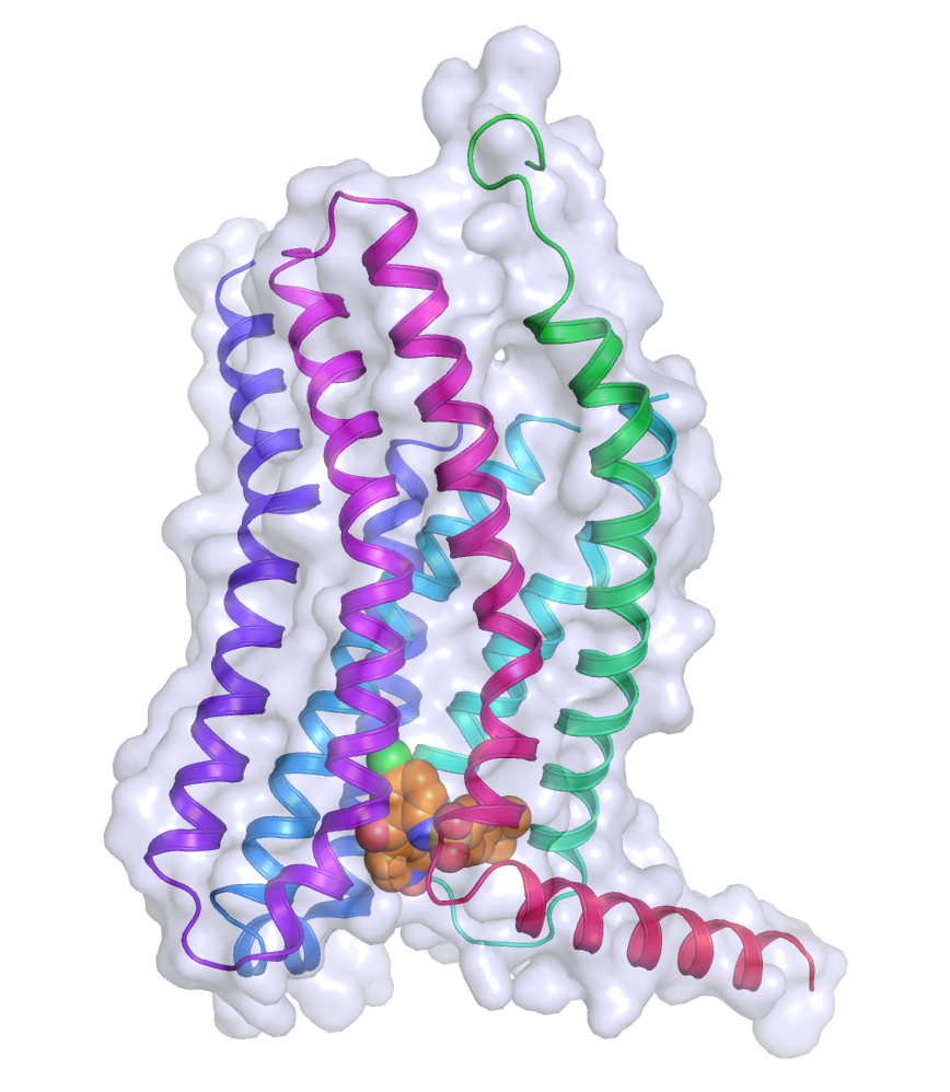 Drug discovery goes intracellular - - Diamond Light Source