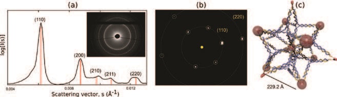 Building 3D nanomaterials with sticky DNA bricks - - Diamond Light Source