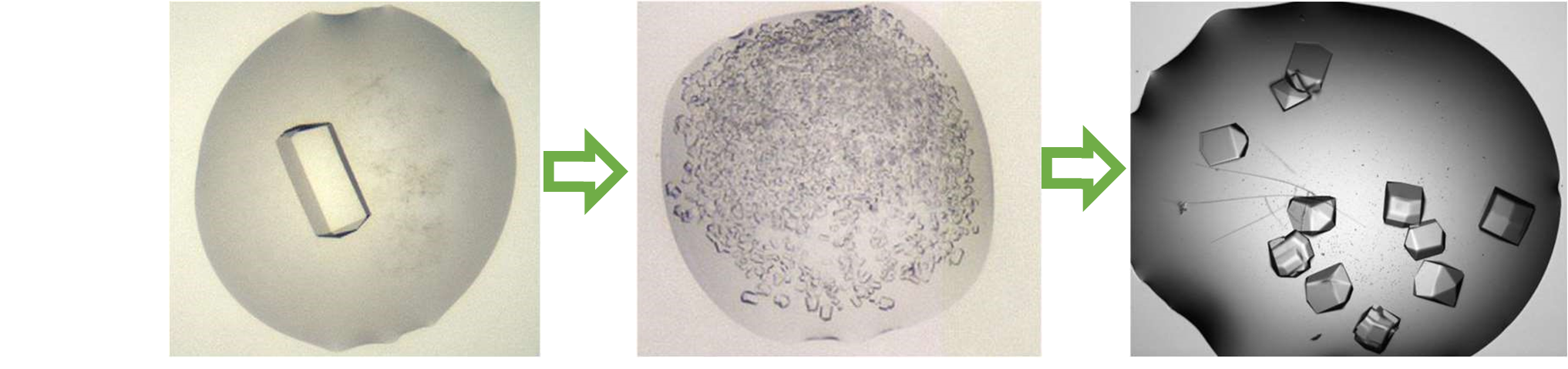 Crystal-seeding - - Diamond Light Source