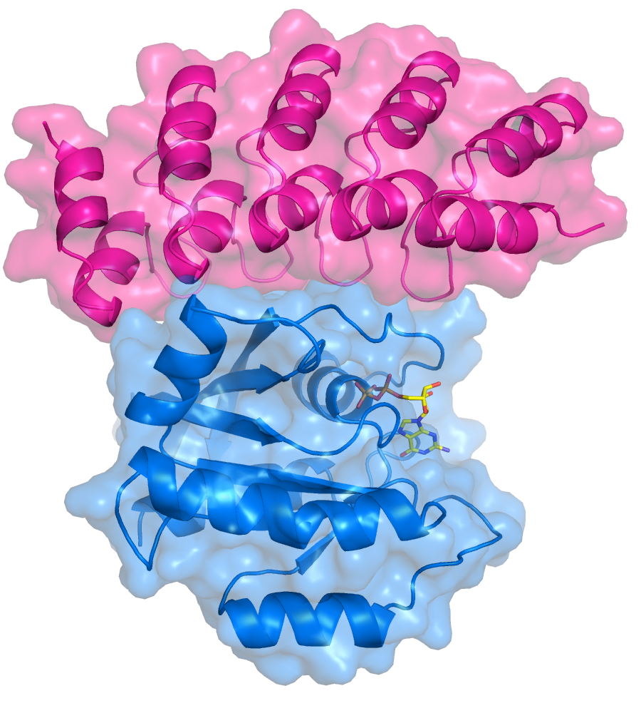 Keeping an oncogene down - - Diamond Light Source