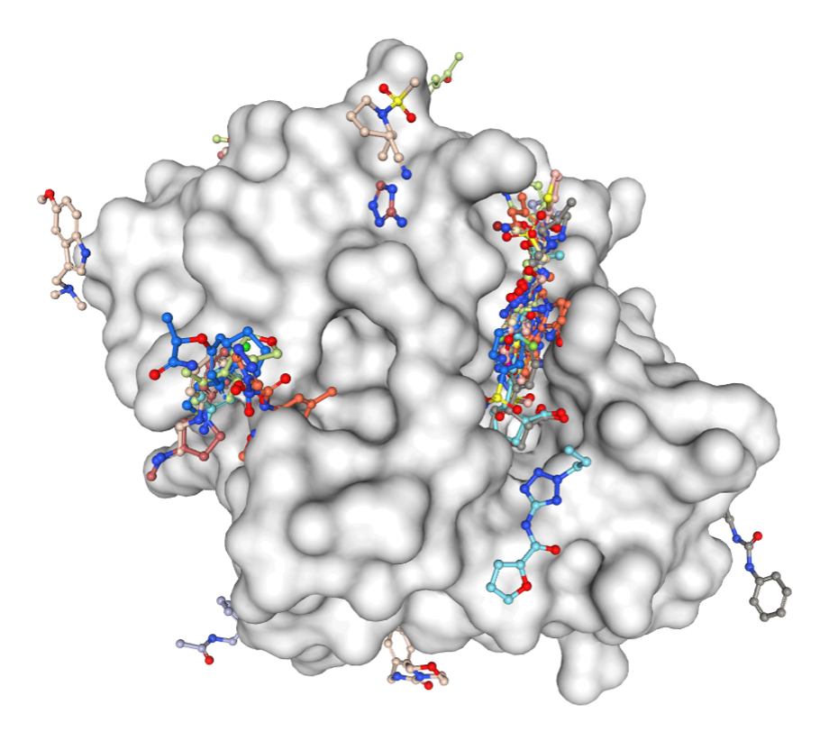Nsp3 macrodomain ADP-ribosyl hydrolase and XChem fragment screen - - Diamond Light Source