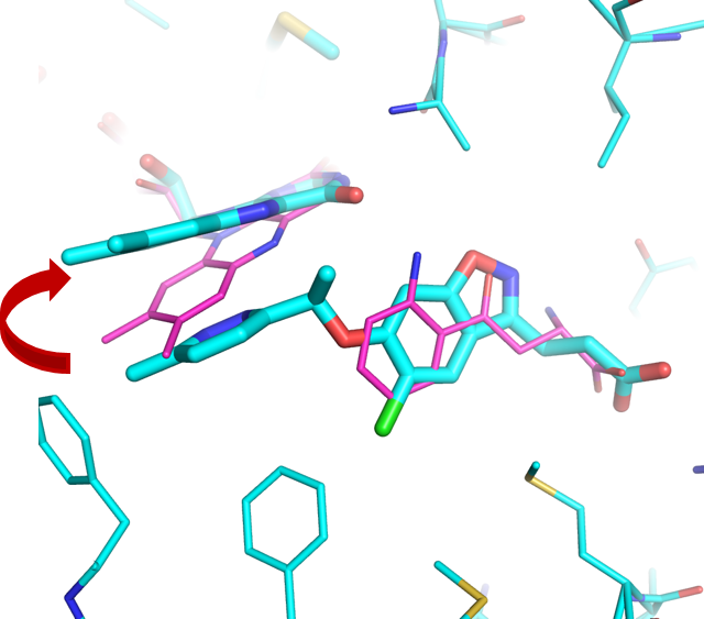 Targeting acute pancreatitis - - Diamond Light Source