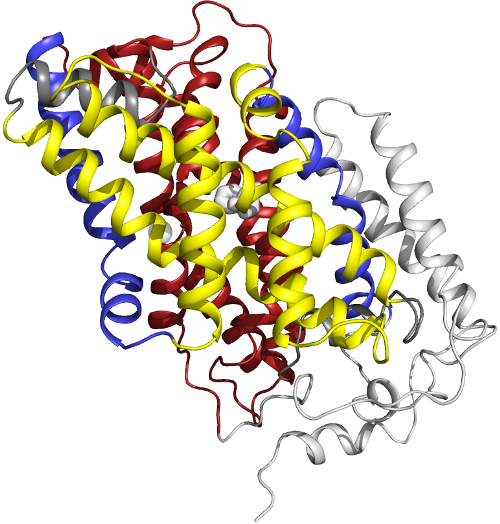 UK team reveals all three structures of single transporter protein ...