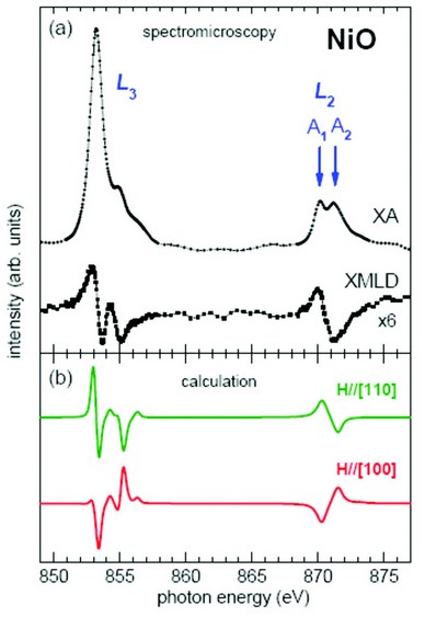 NiO engaged in spin confrontation at the interface - - Diamond Light Source