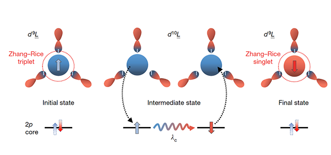 An exciting discovery - a new kind of exciton - - Diamond Light Source
