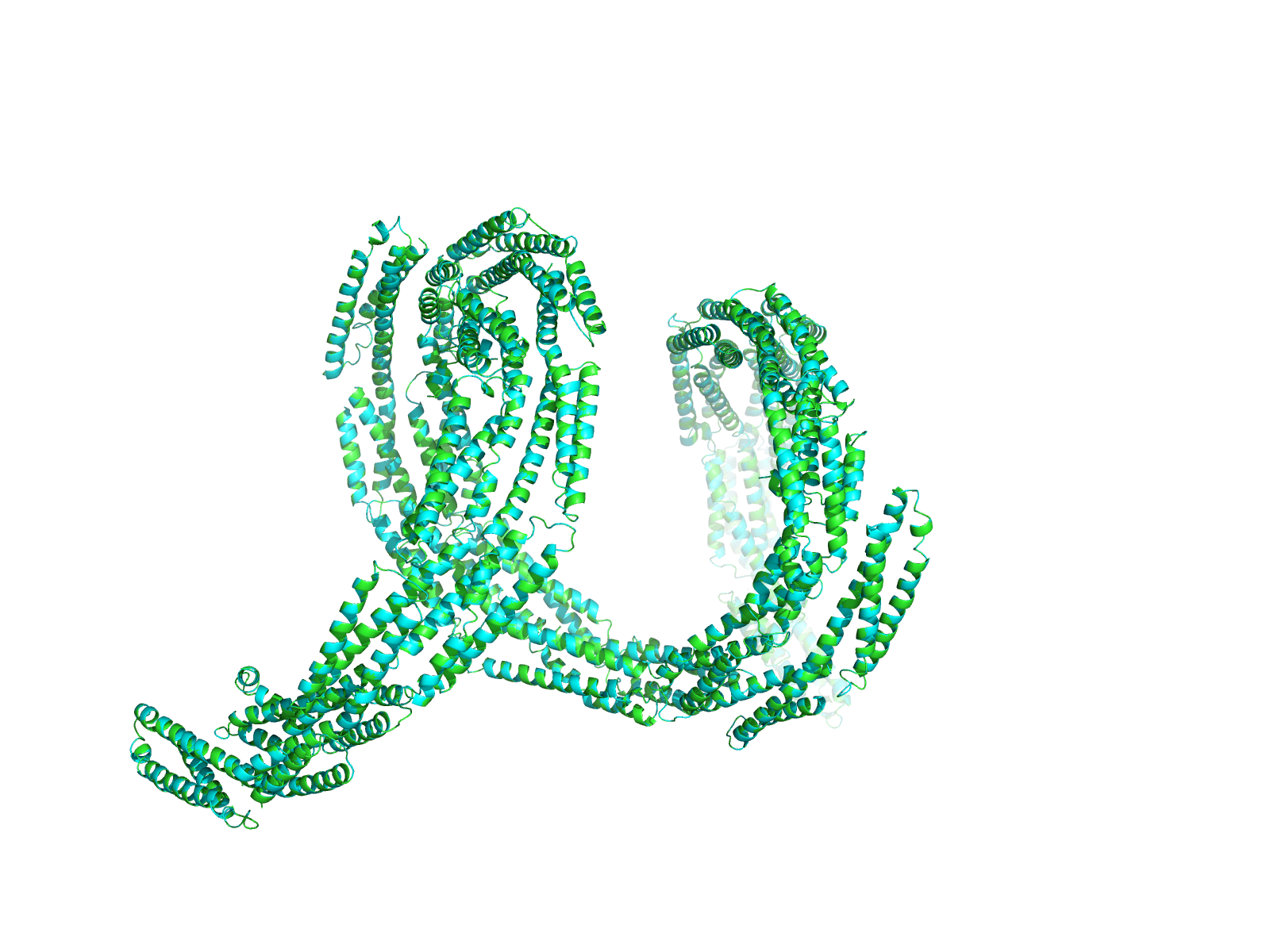 Scientists discover bacteria's clever defence mechanism - - Diamond ...