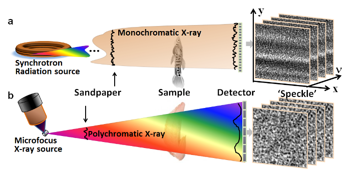 Monochromatic X Ray Beam - The Best Picture Of Beam