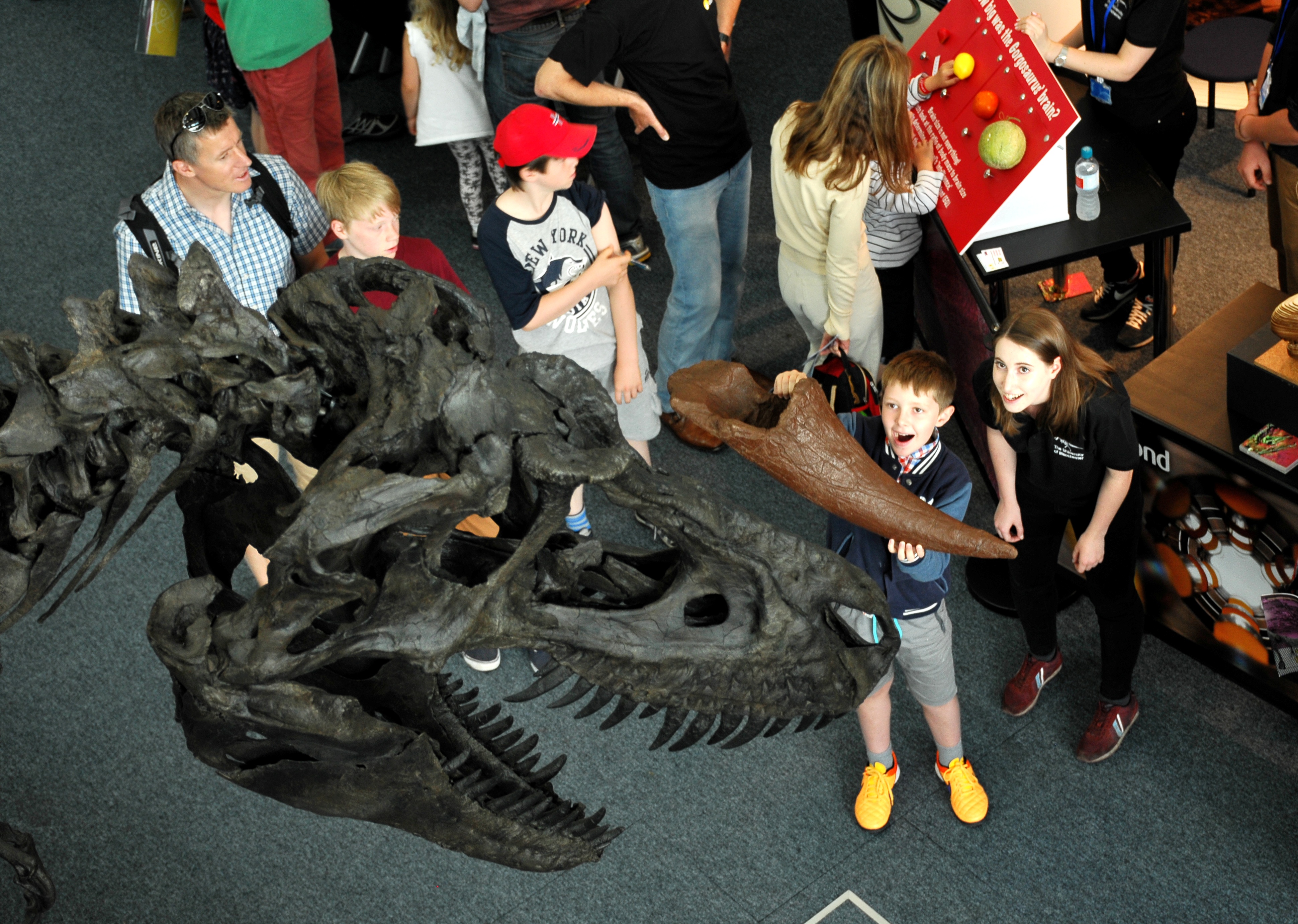 Harwell Open Week 2024 - - Diamond Light Source