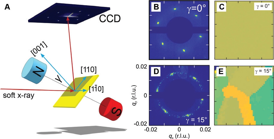 Magnetic skyrmion lattice domain manipulation enables new memory technology - - Diamond Light Source