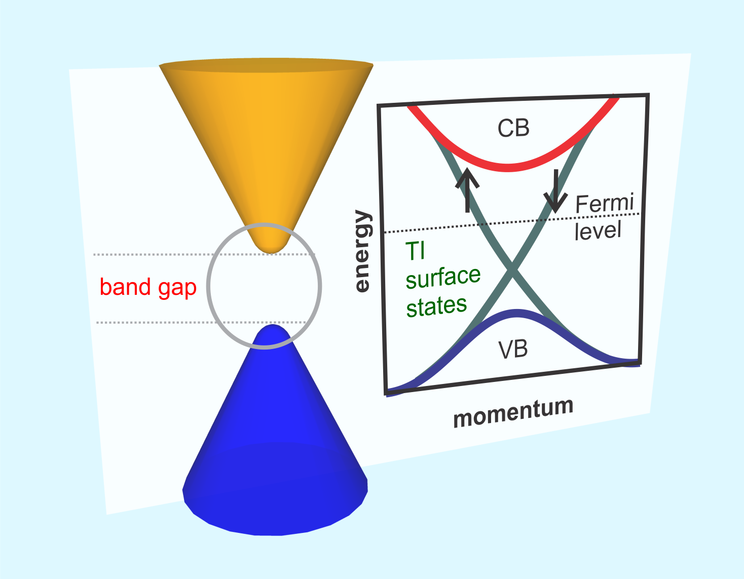 Spintronics potential at the surface of topological insulators ...
