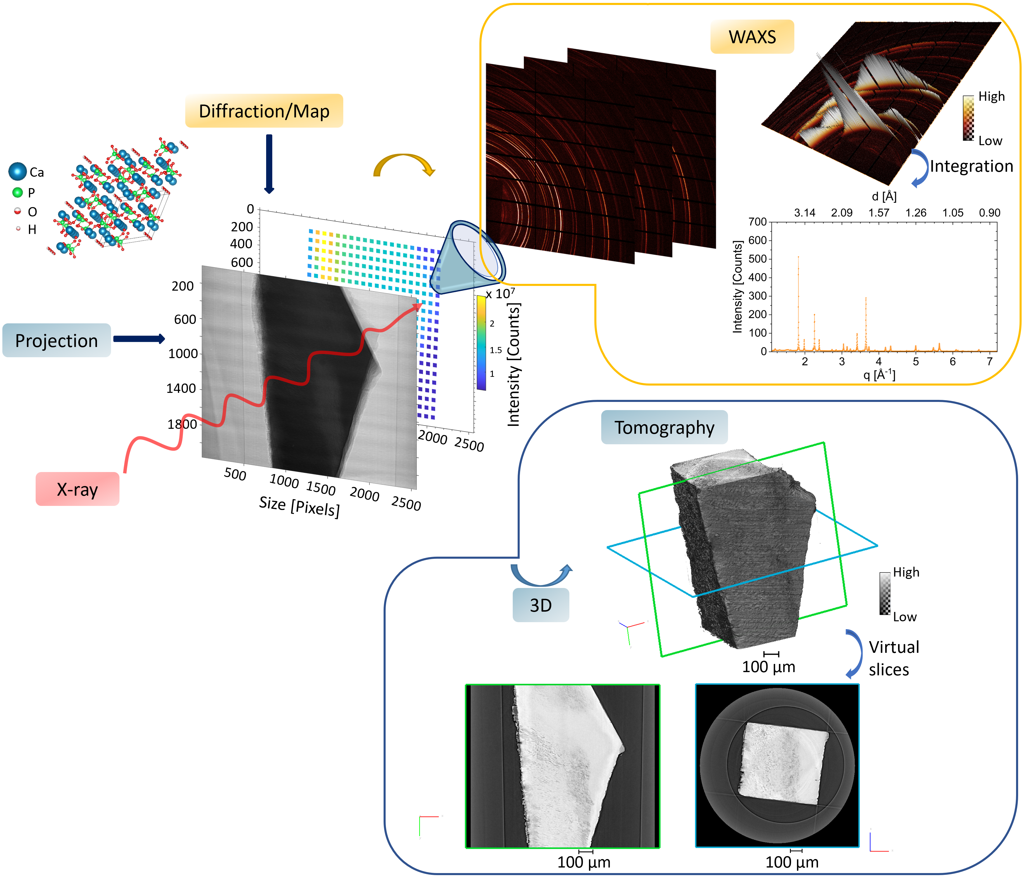 Revolutionising research: DIAD delves into dentistry - - Diamond Light ...