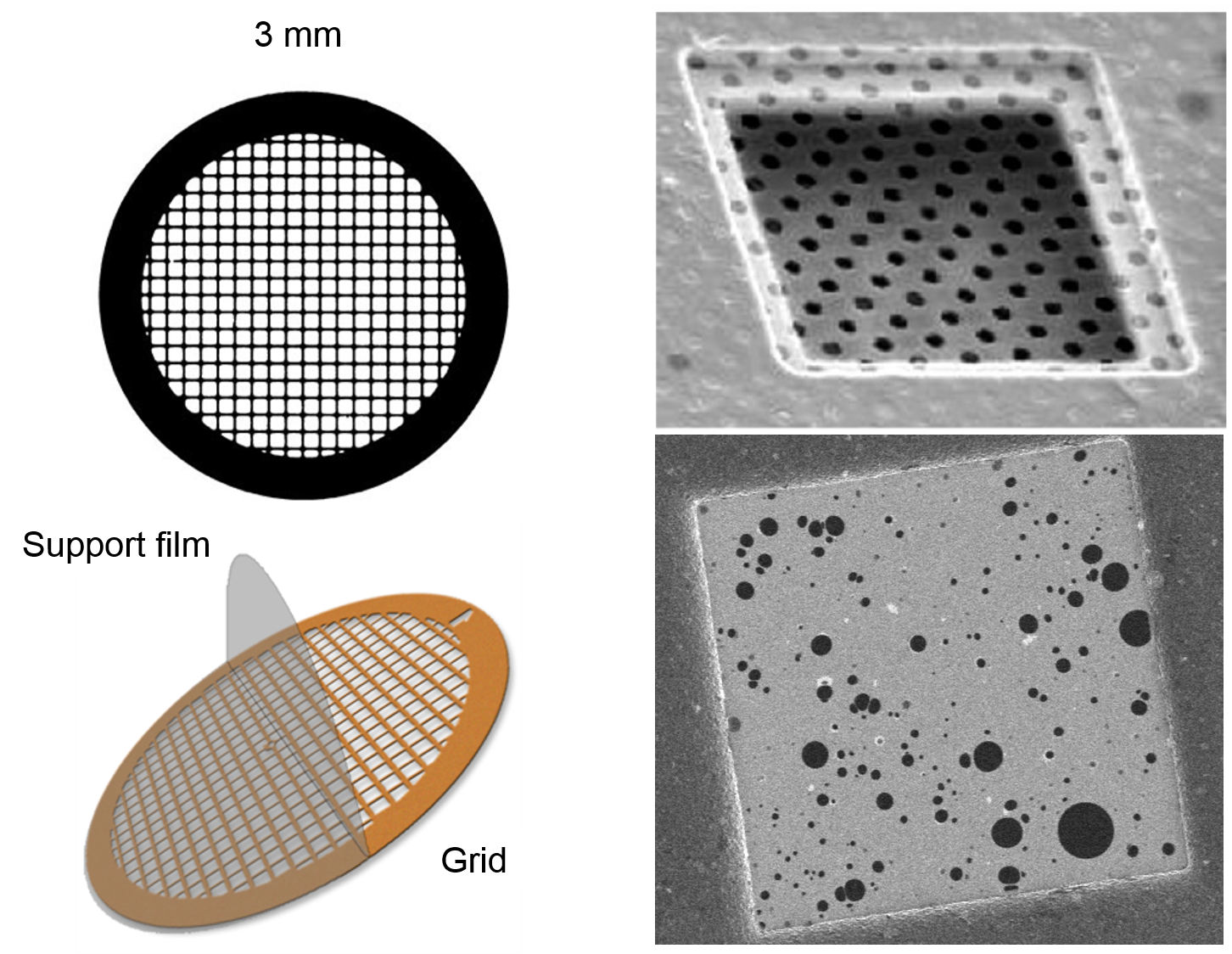 Sample Preparation - - Diamond Light Source