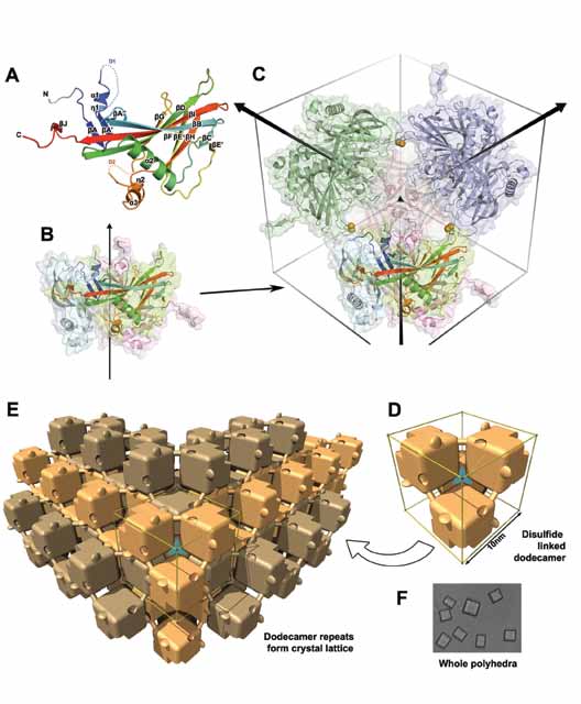 The structure of polyhedra microcrystals - - Diamond Light Source
