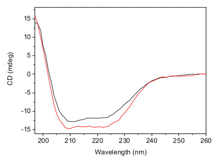 Innovative methods for protein-nanoparticles interactions using ...