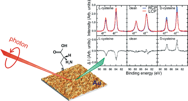 Chiral scattering of electrons carrying orbital angular momentum ...