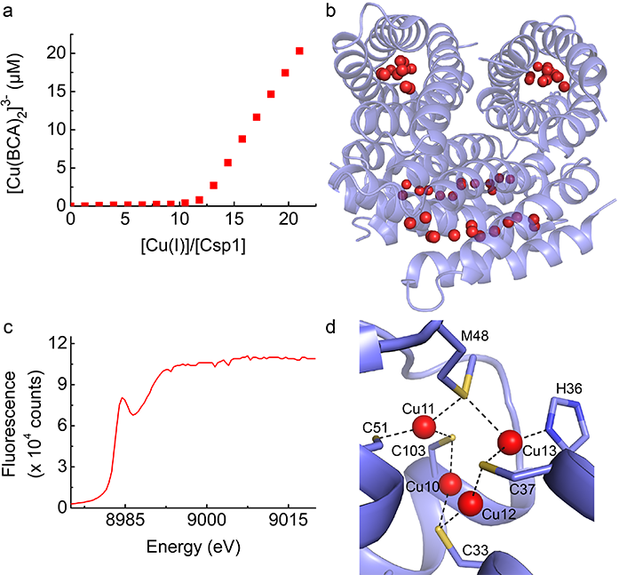 Annual Review: MX - - Diamond Light Source