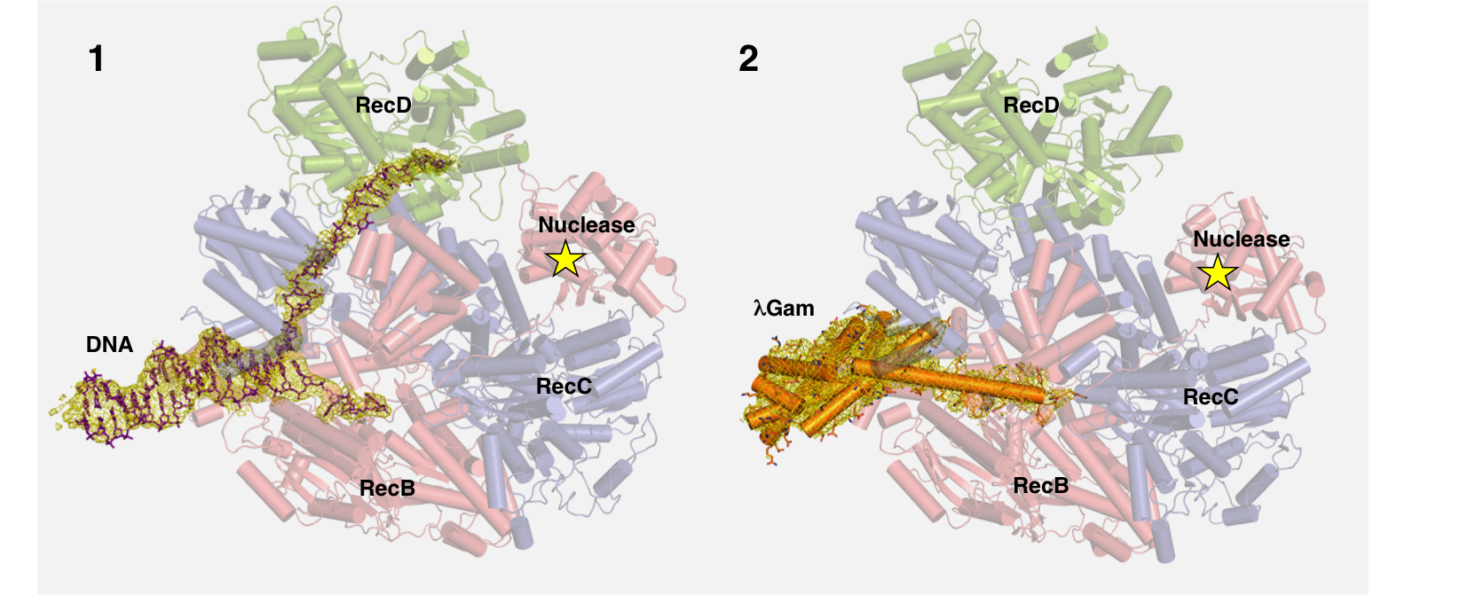 Integrated Facilities - - Diamond Light Source