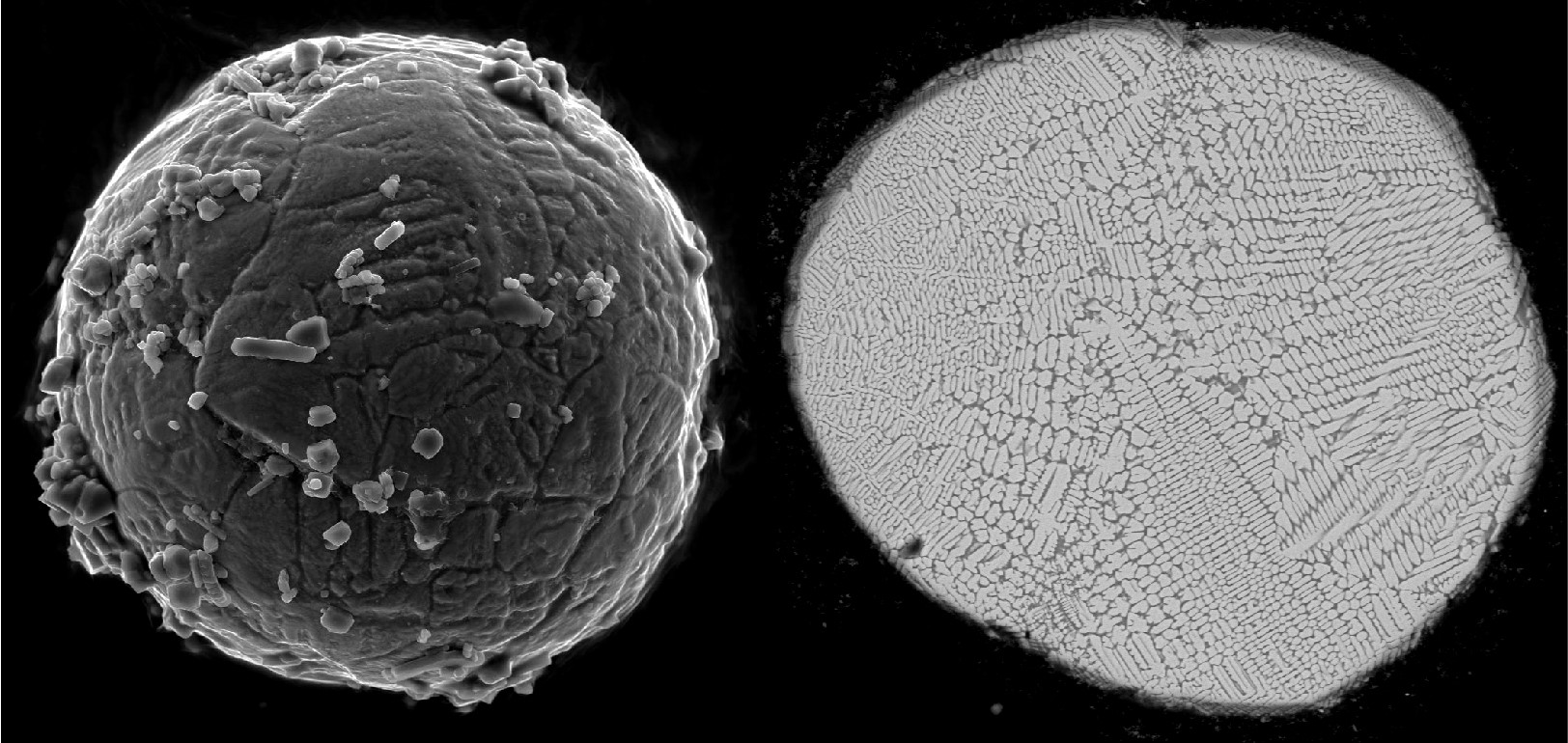 Fossilised micrometeorites revealed - - Diamond Light Source